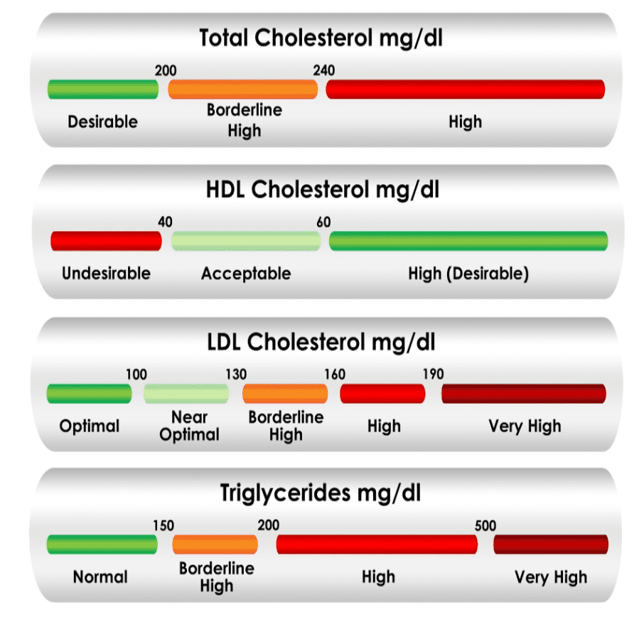 Understanding Cholesterol Levels: What You Need to Know